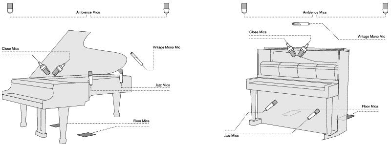 Radical Piano | Reason Studios