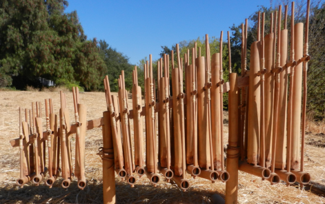 Pangea World Instruments | Reason Studios